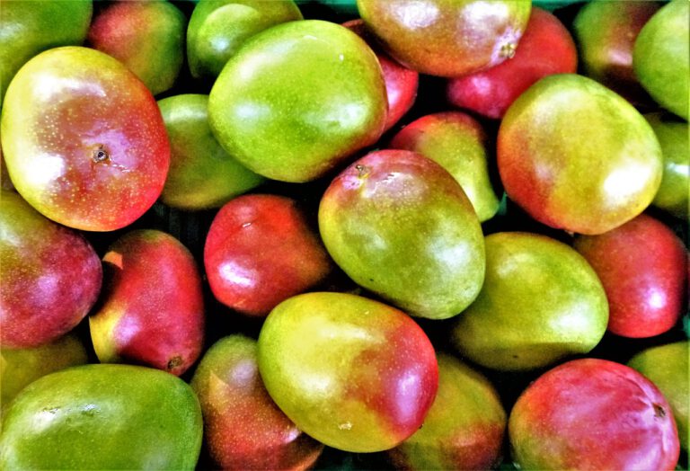 Jak wyhodować mango z pestki – poradnik krok po kroku i wszystko co ...
